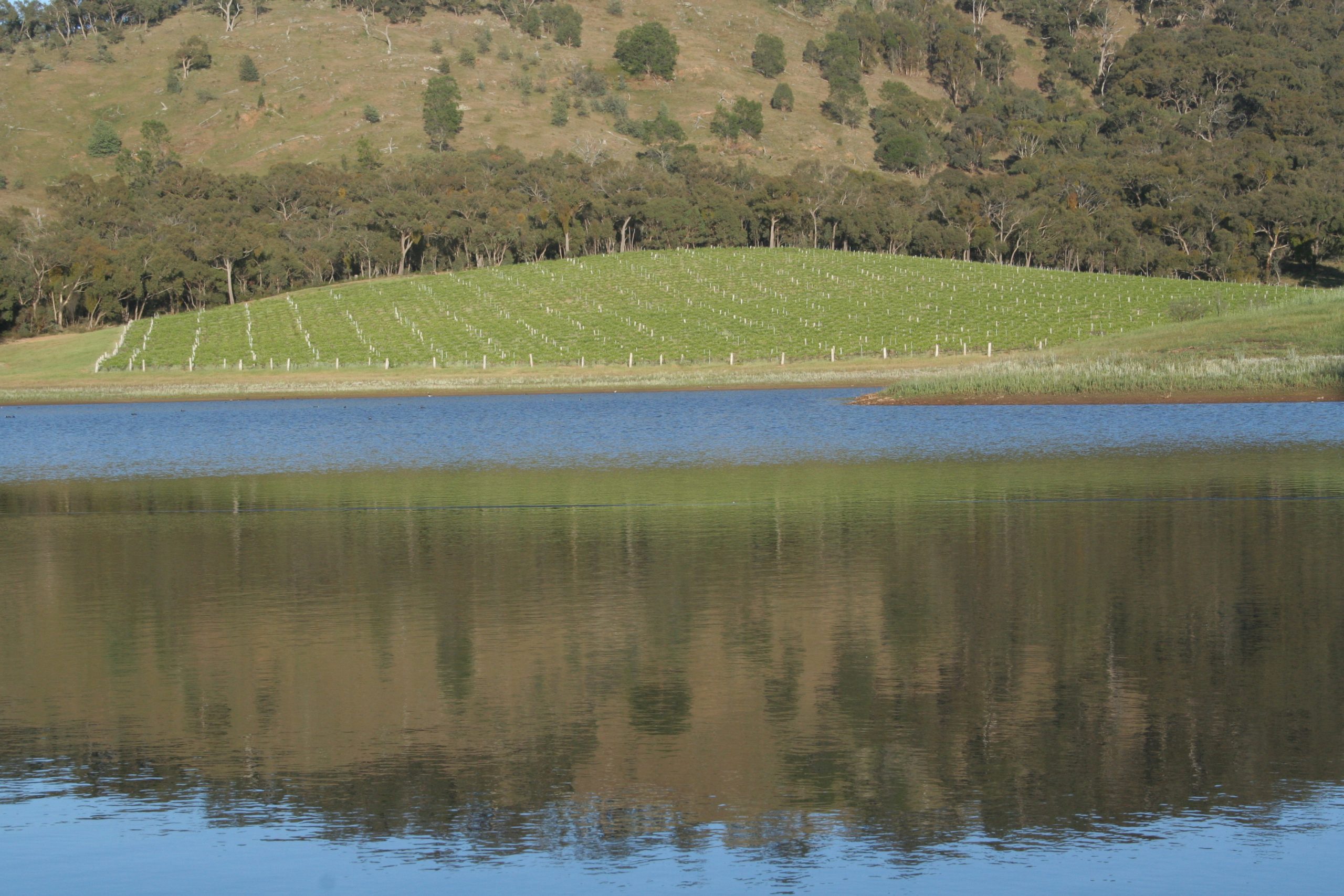 Taltarni Vineyards - Monopole - Real estate business specialising in ...