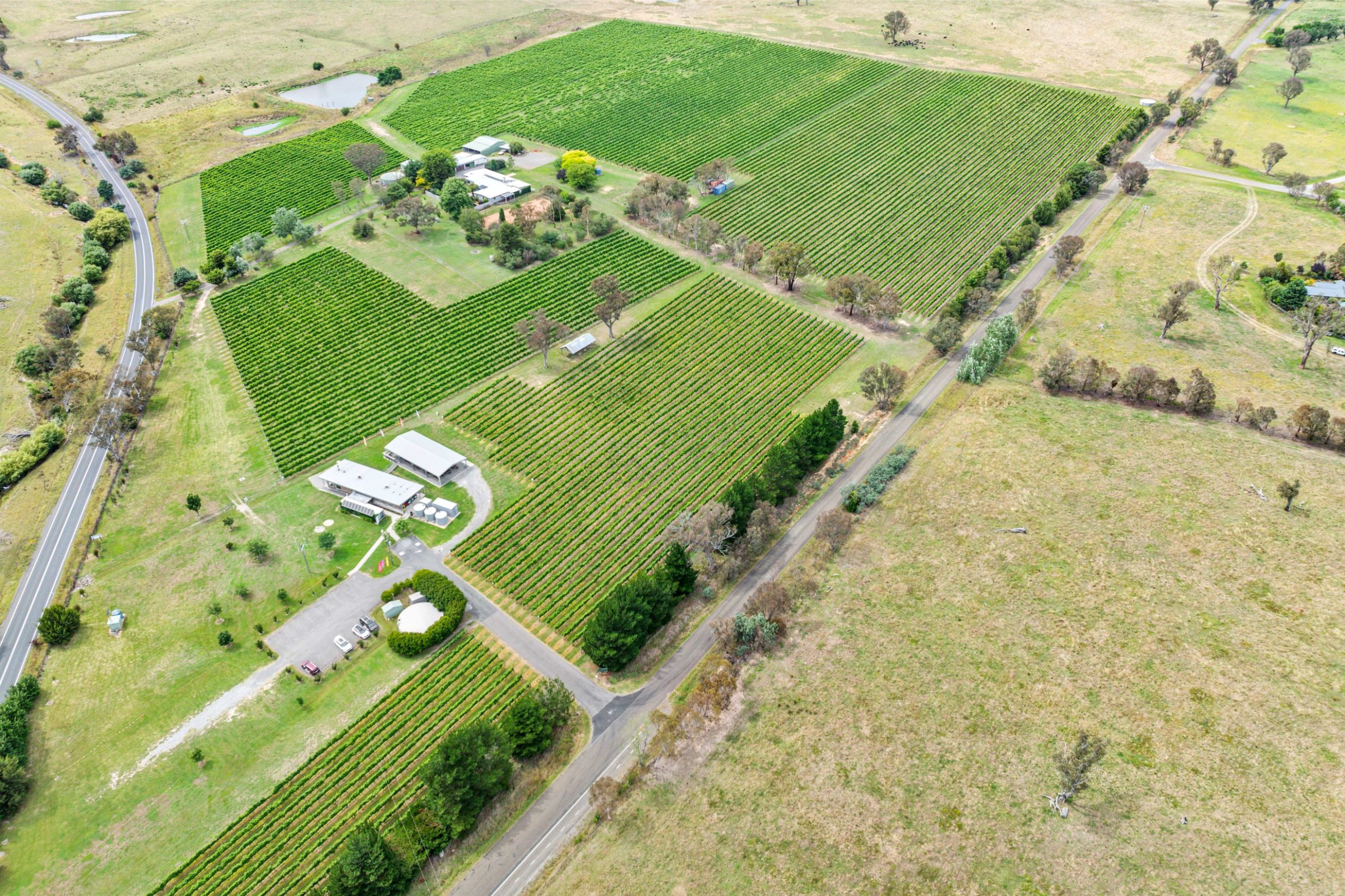 Four Winds Vineyard - Monopole - Real estate business specialising in ...